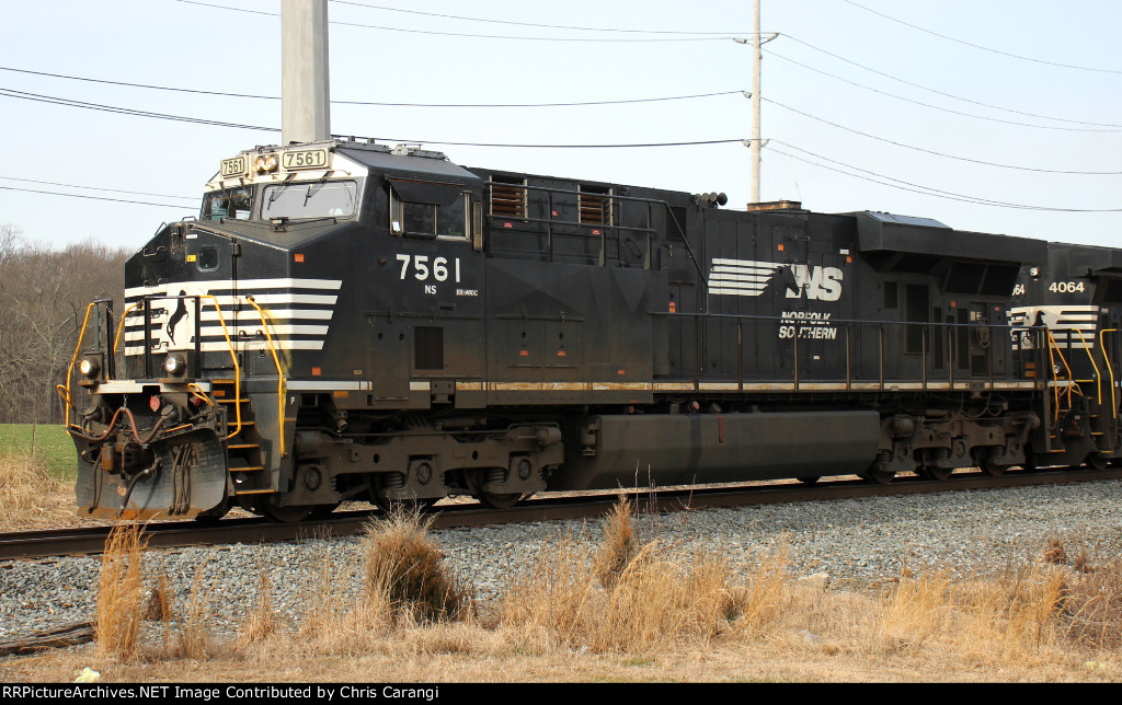 NS 7561